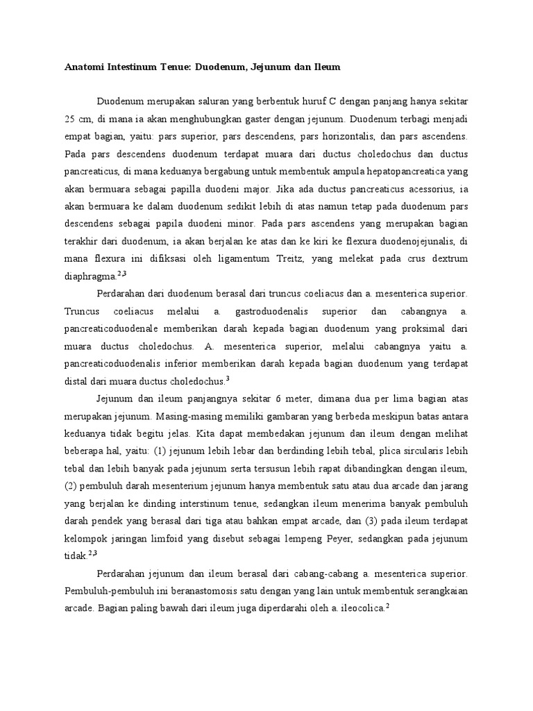 Anatomi Intestinum Tenue | PDF