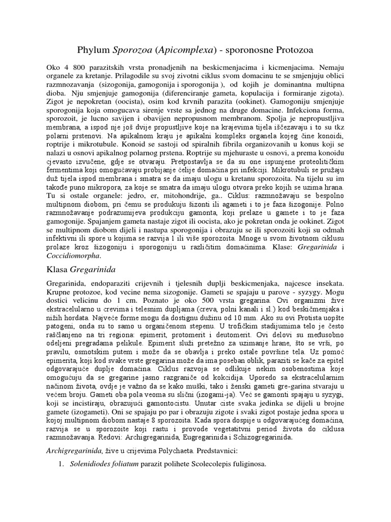 Phylum Sporozoa, Myxozoa, Microspora (Sporonosne Protozoe) | PDF