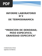 Densidad y Gravedad Específica en Fluidos | PDF | Densidad | Presión