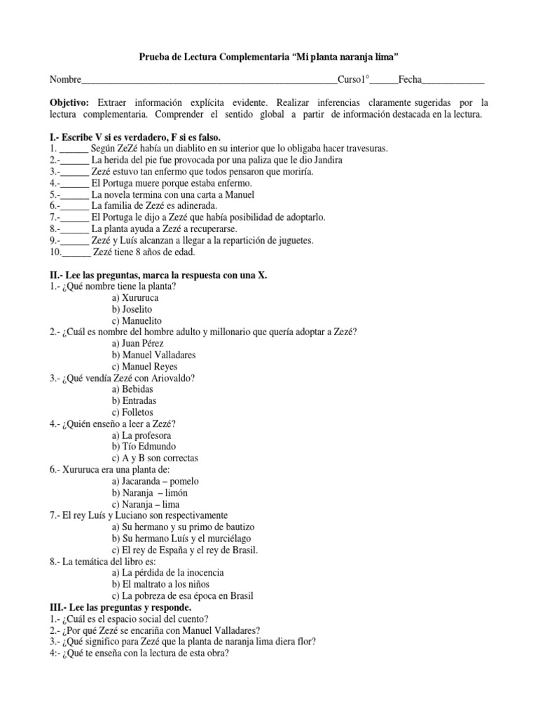 Prueba de Lectura Complementaria | PDF