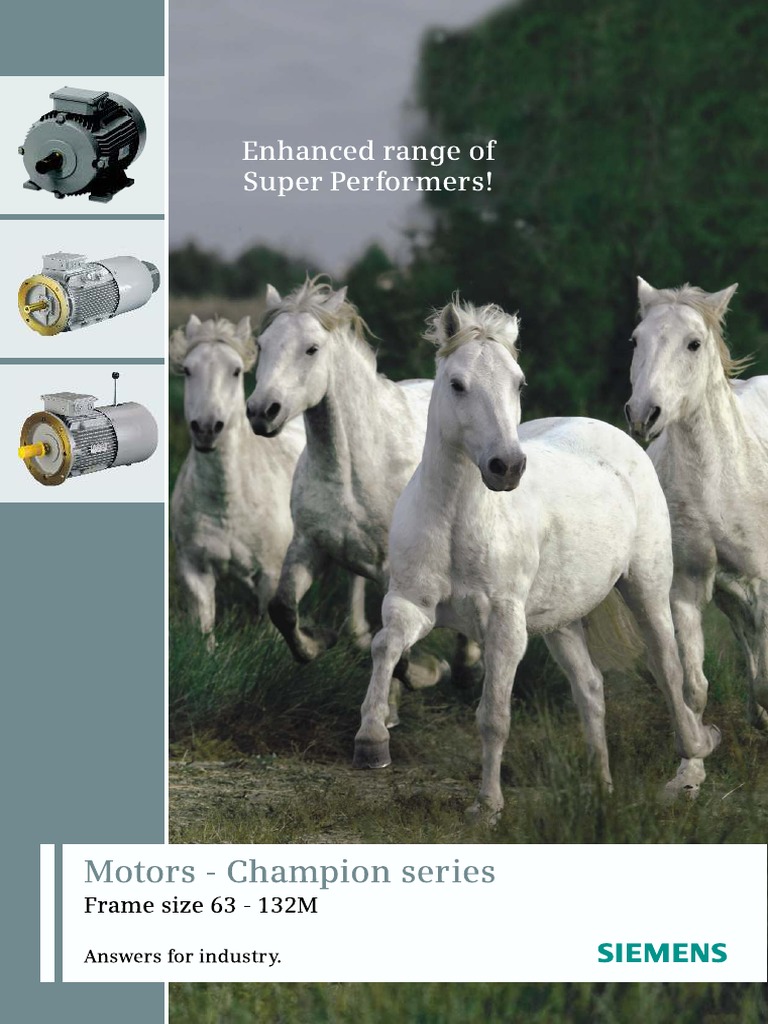 Champion Frame 63 132M Motor New PDF | PDF | Insulator (Electricity ...