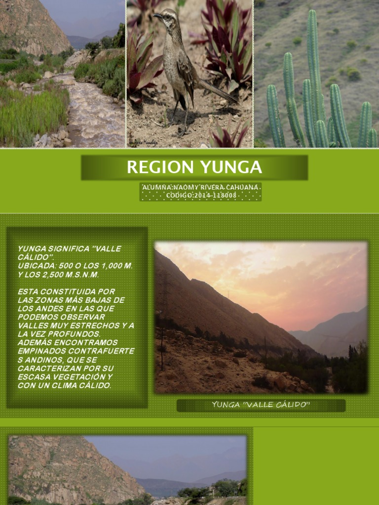 Region Yunga | PDF
