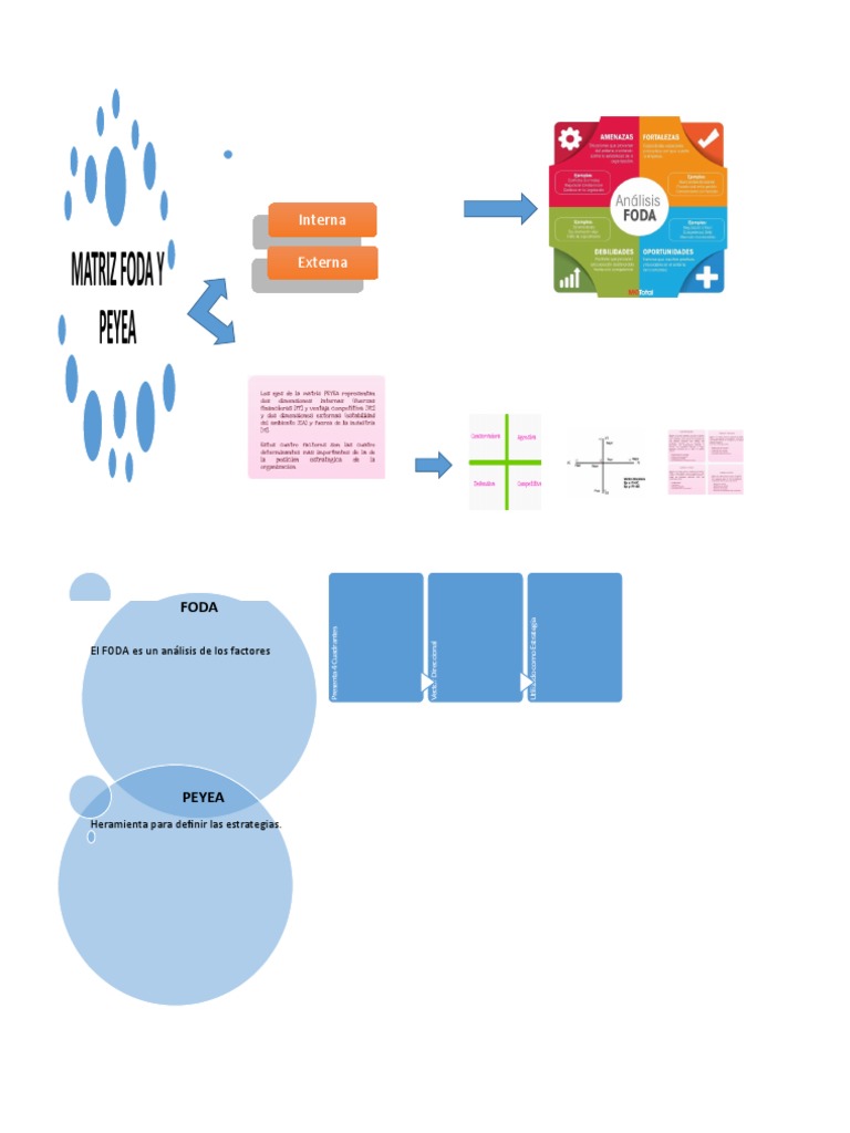 Mapa Mental Matriz Foda y Peyea | PDF