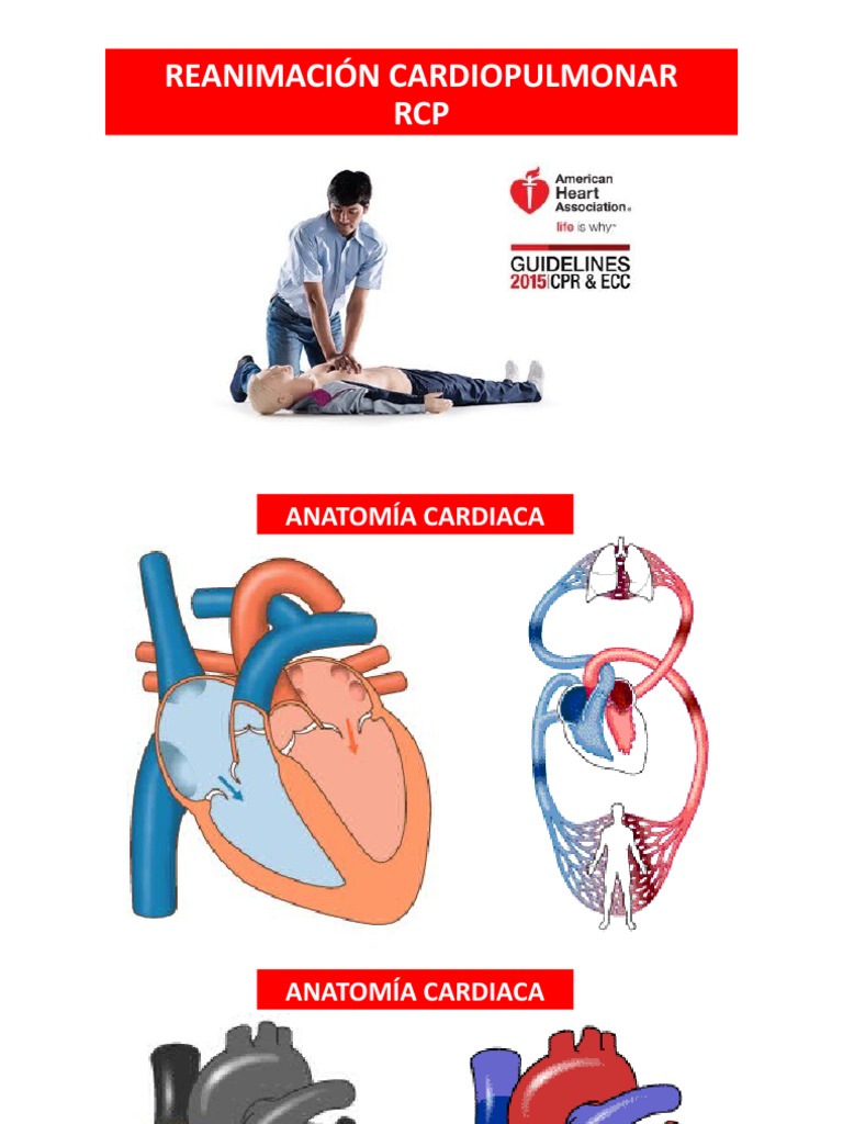 RCP Aha 2015 | PDF | Reanimación cardiopulmonar | Paro cardíaco