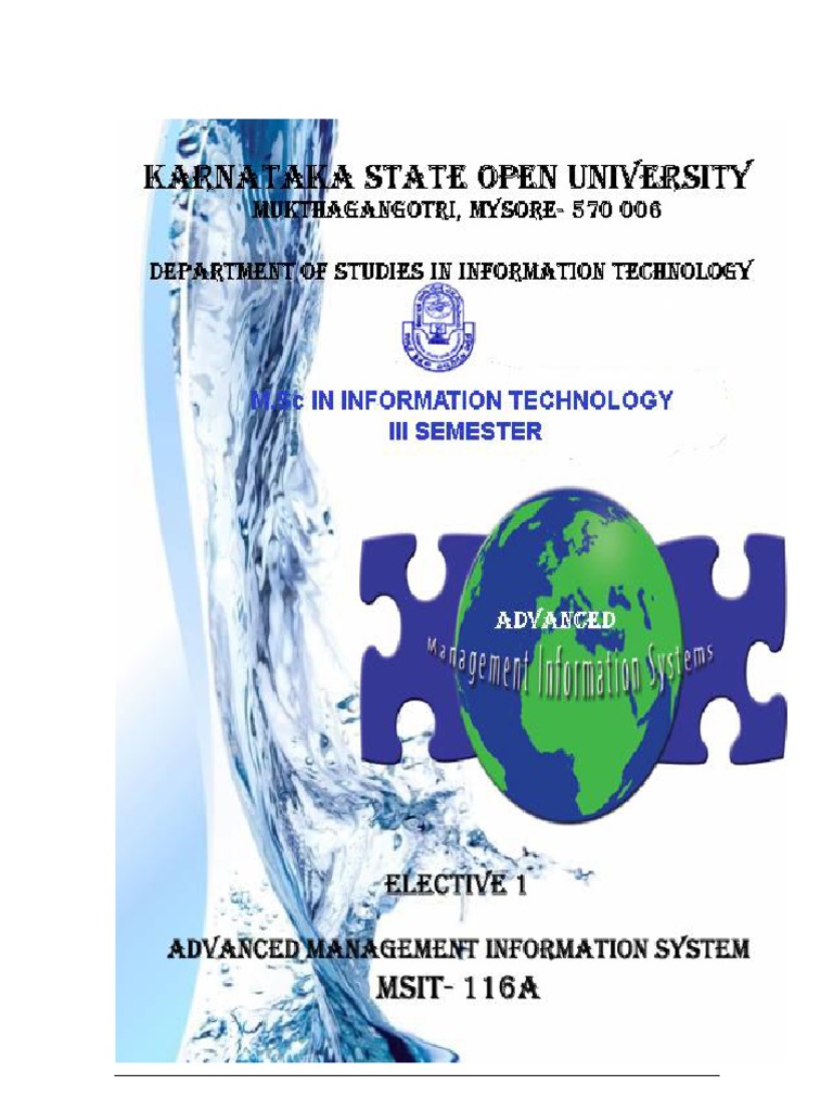 MSIT 116A Advanced Management Information System | PDF | Information ...