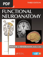 PPK Stroke Iskemik Perdosni 2023 | PDF