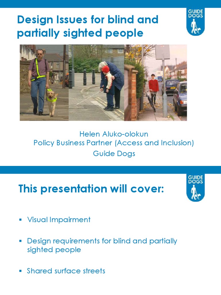 Helen Aluko Olokun | PDF | Visual Impairment | Senses