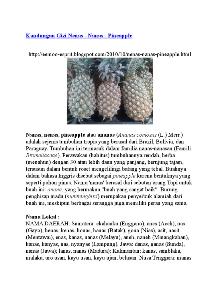 Kandungan Gizi Nanas | PDF