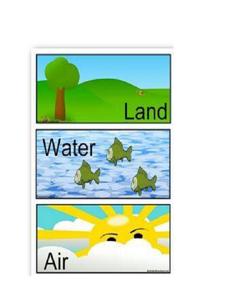 Land Air Water | PDF