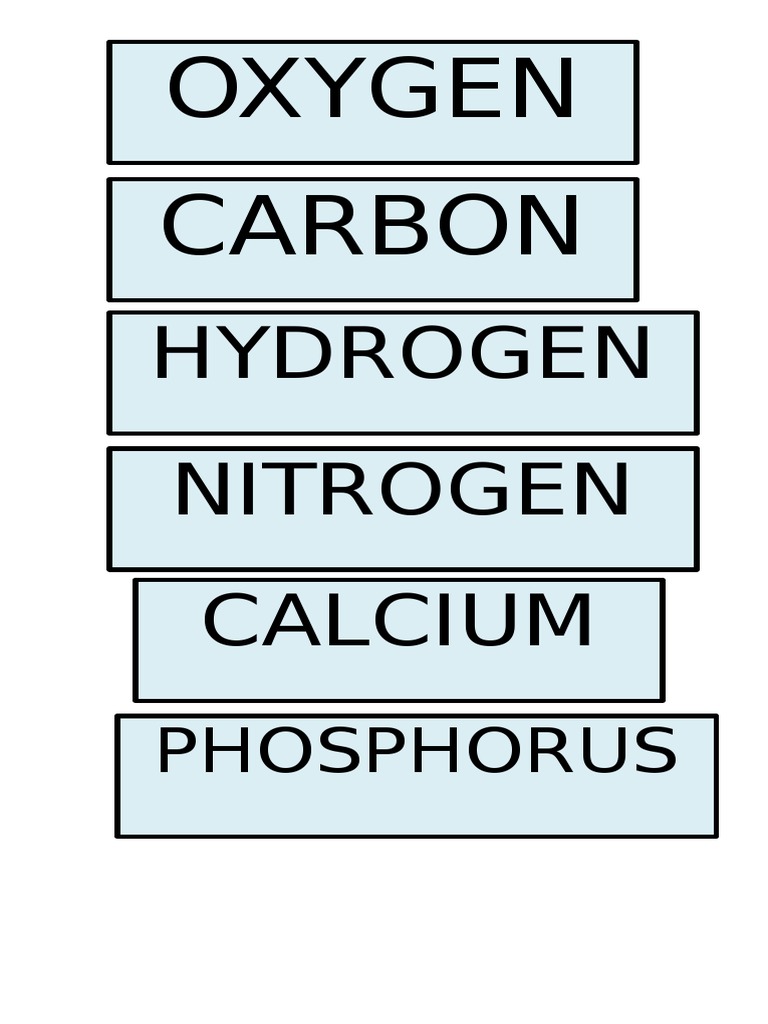 Elements in The Human Body | PDF