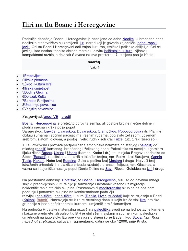 Skripta Historija BiH | PDF