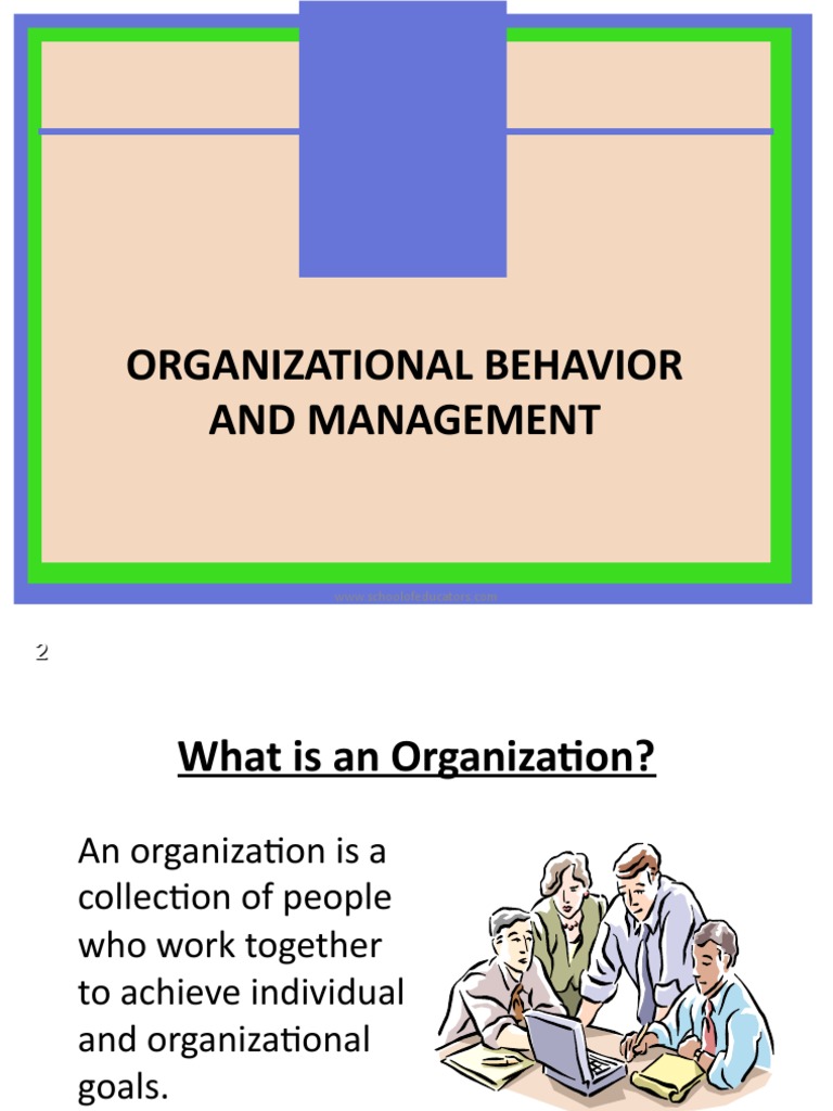 Organizational Behavior in Management | PDF | Organizational Behavior ...