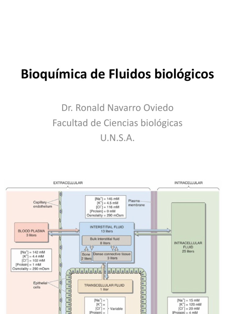 Bioquímica de Fluidos Biológicos 2016 | PDF | Fluido cerebroespinal ...