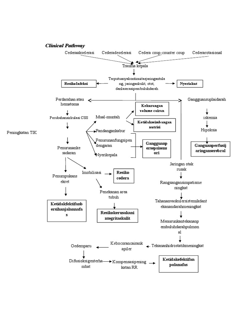 Clinical Pathway COB+TTA | PDF