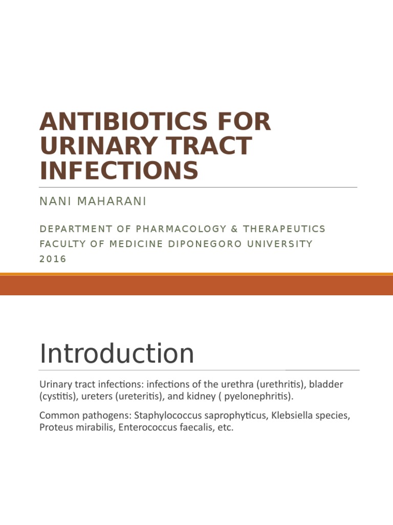 Antibiotics For Urinary Tract Infections: Nani Maharani | PDF ...