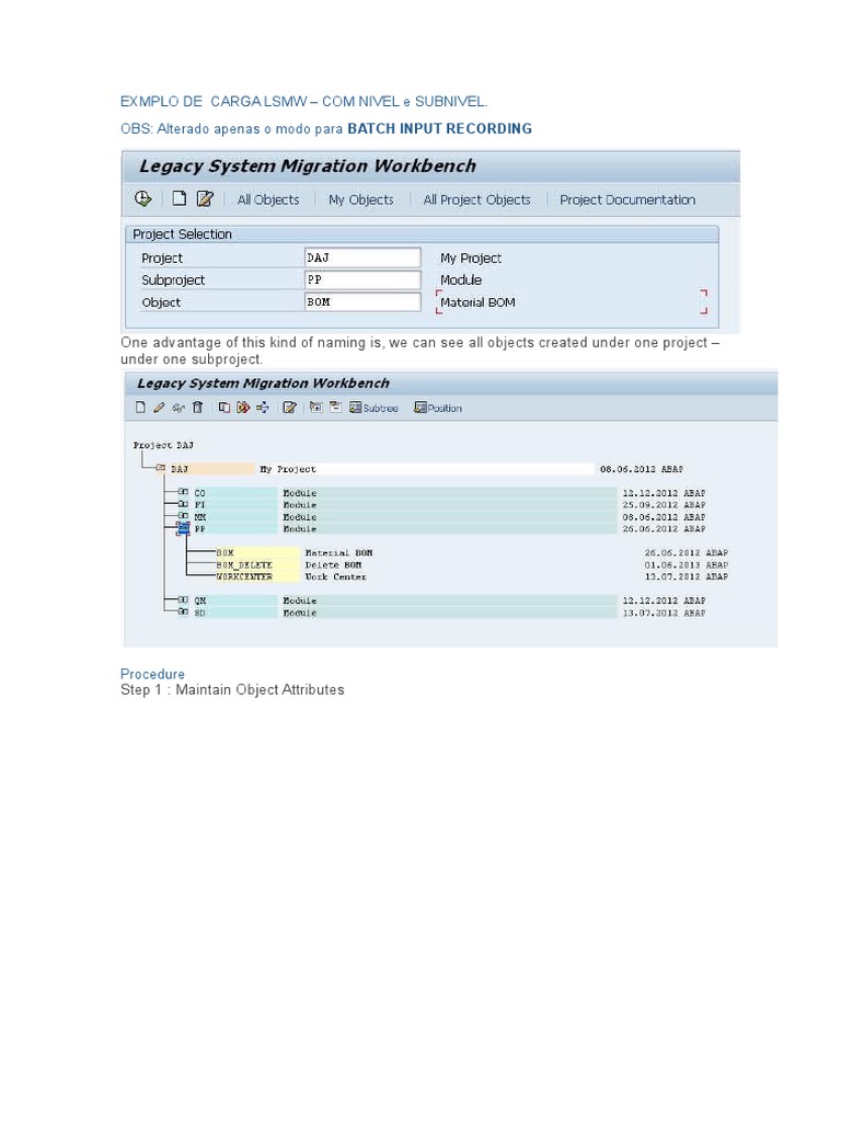 LSMW Batch Input Guide | PDF | Computer Data | Computing