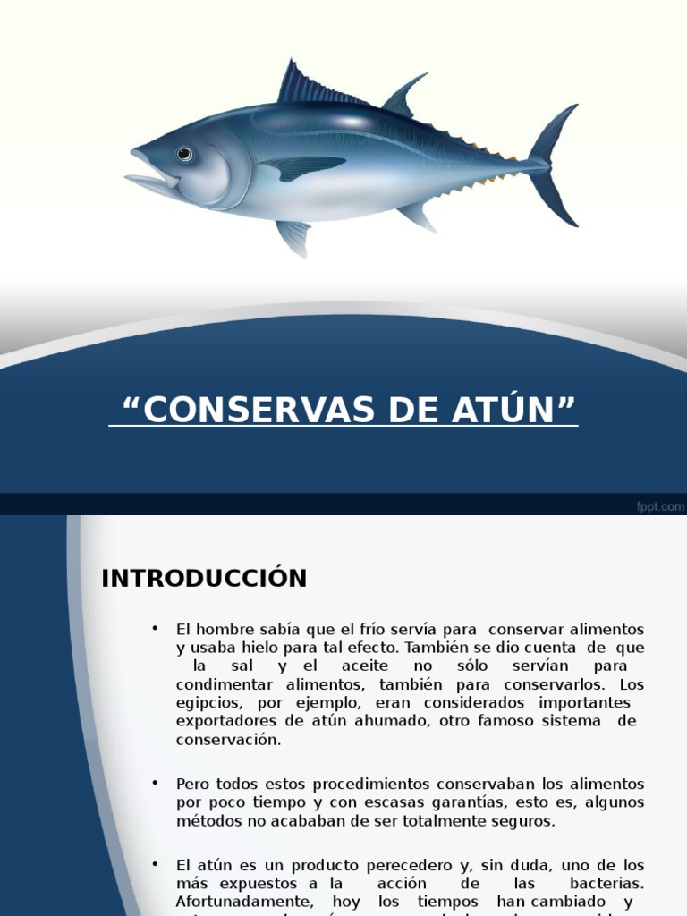 Conserva de Atún | PDF | Aceite de oliva | Atún