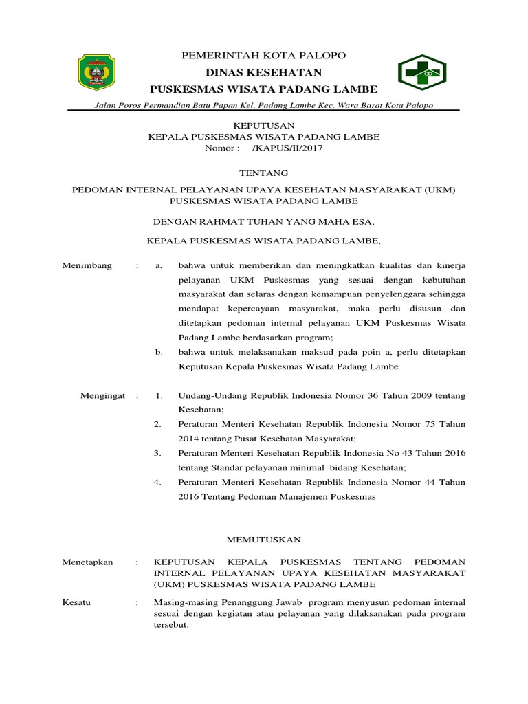 Pedoman Pelayanan UKM Puskesmas Palopo | PDF