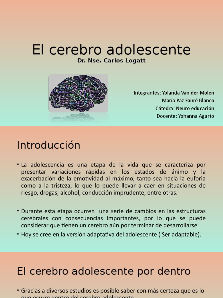 El Cerebro Adolescente Pdf Cerebro Neurona