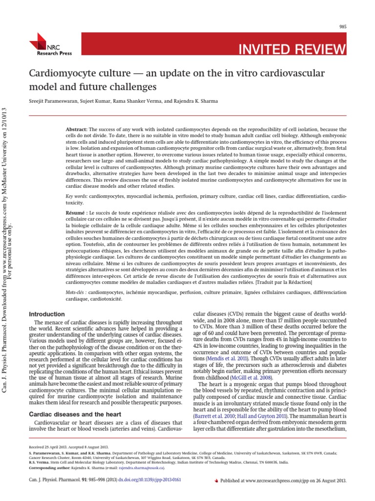 Cardiomyocyte Culture - An Update On The in Vitro Cardiovascular Model ...