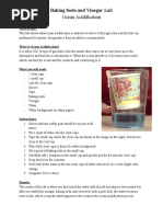 Orange Fizz Experiment | PDF