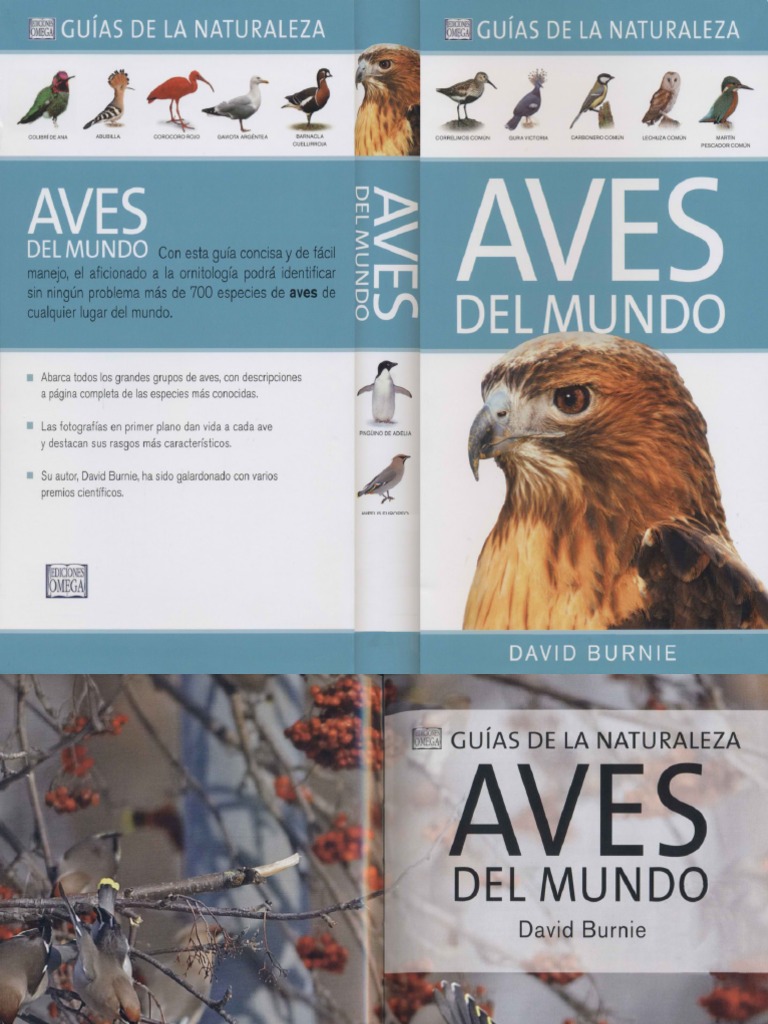Animales - Aves Del Mundo (v2) PDF | PDF