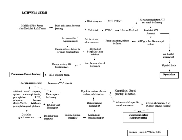 Pathways STEMI | PDF