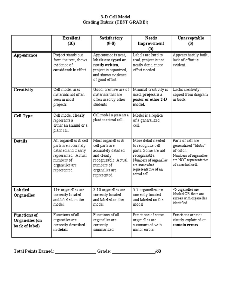 Cells Model Project Rubric | PDF | Eukaryotes | Cell (Biology)