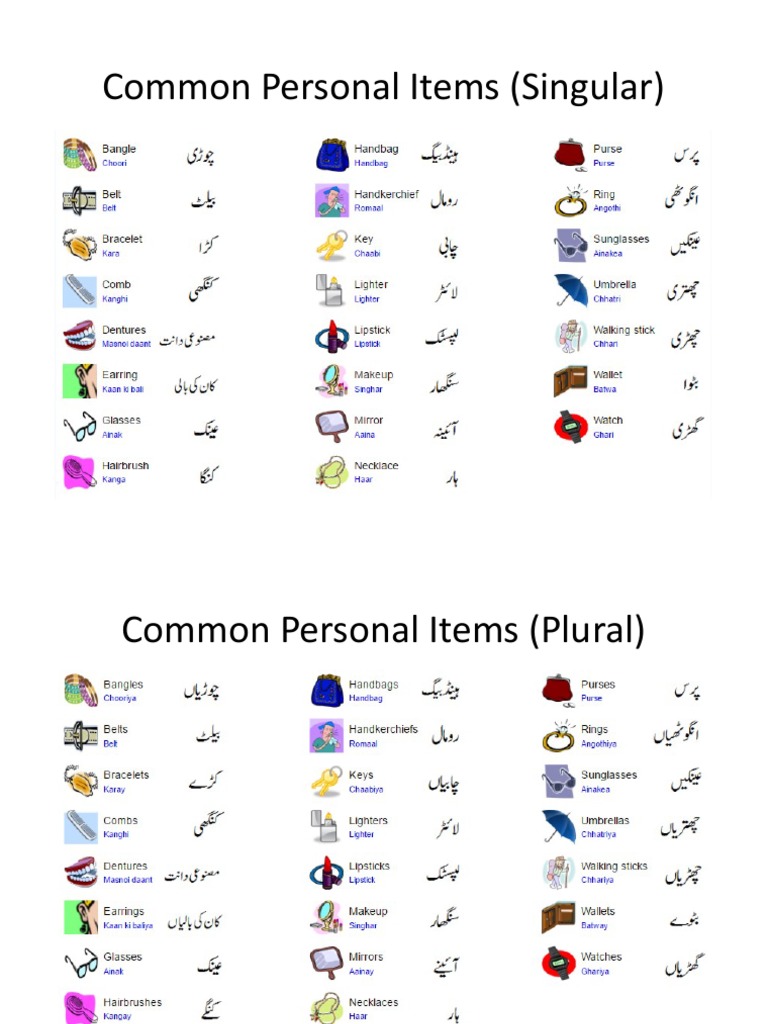 Common Items and Vocabulary Guide | PDF