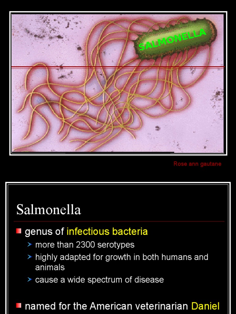 Salmonella | PDF | Serotype | Salmonella