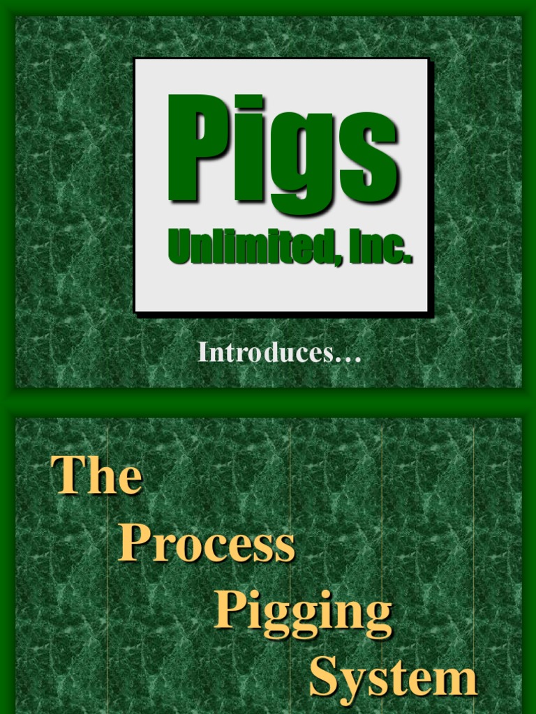 Process Pigging System Benefits | PDF | Valve | Pipe (Fluid Conveyance)