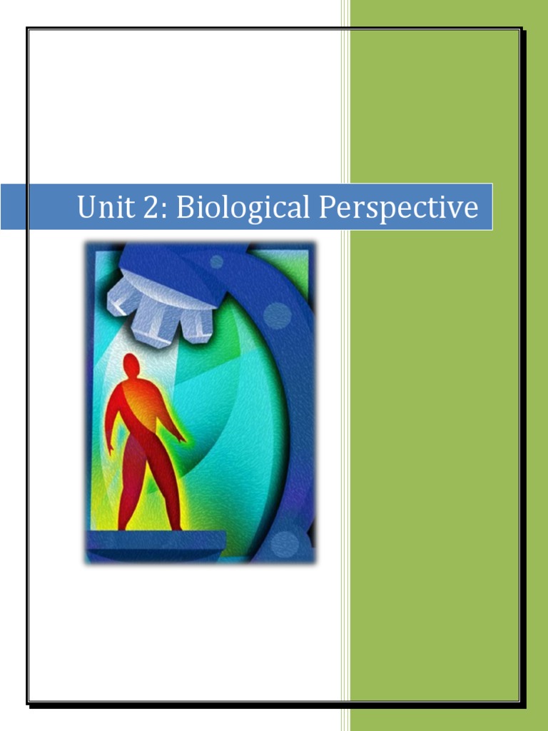Bloa Study Booklet | PDF | Electroencephalography | Aphasia