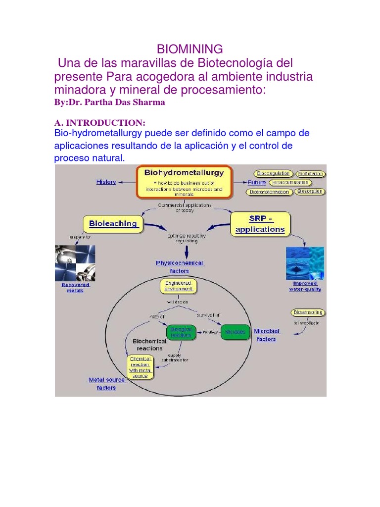 Bio Mining | PDF | Cobre | Las bacterias