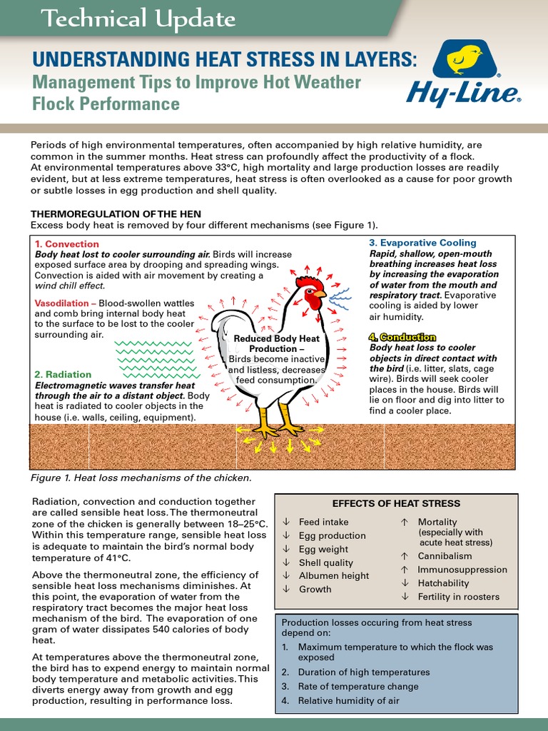 Managing Heat Stress | PDF | Humidity | Thermoregulation