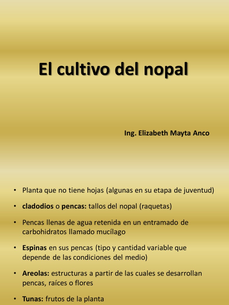 El Cultivo Del Nopal | PDF | Fertilizante | Riego