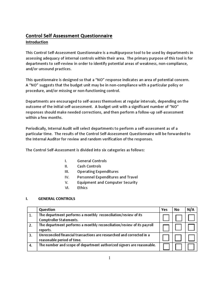 Control Self Assessment | PDF | Internal Audit | Employment