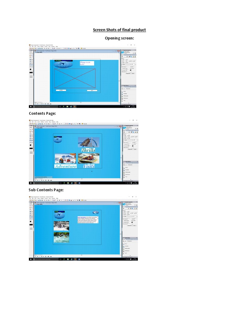 Screen Shots of Final Product | PDF