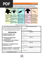 Amoeba Sisters - Plants-Diversity, Structure & Adaptations Video | PDF ...