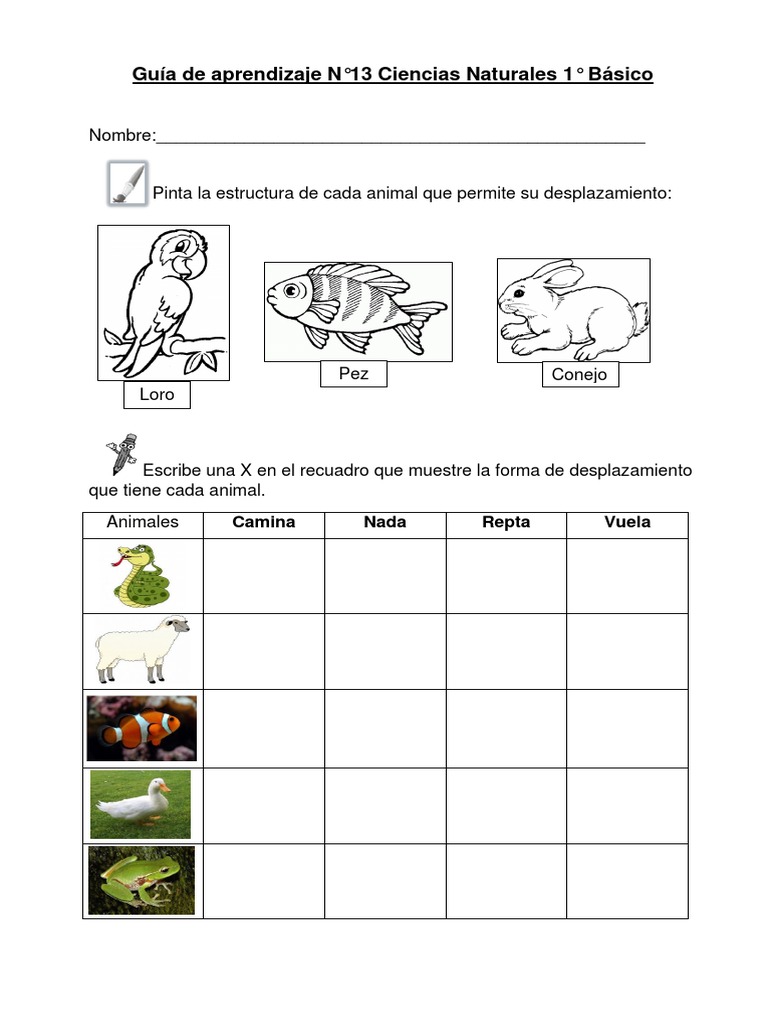 Guia Como Se Mueven Los Animales | PDF | Artes del Lenguaje y ...