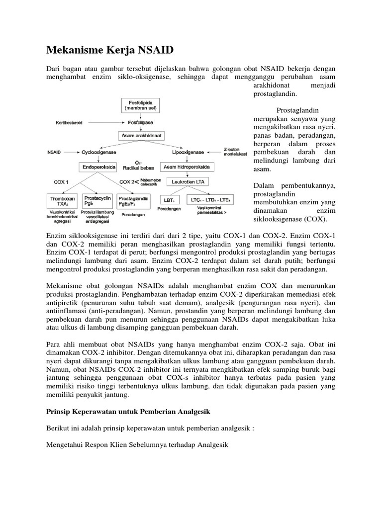 Mekanisme Kerja NSAID | PDF