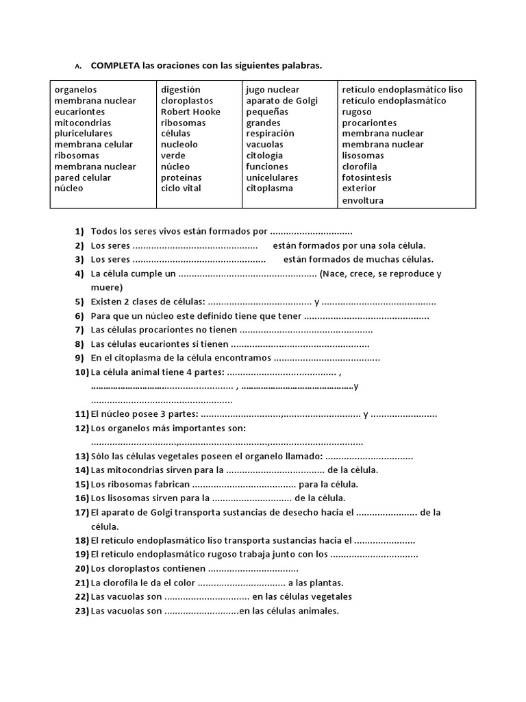 Oraciones sobre la Célula y sus Funciones | PDF | Citoplasma | Biología ...