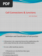 Cell Modification: Mr. Kevin Francis E. Magaoay | PDF | Epithelium ...