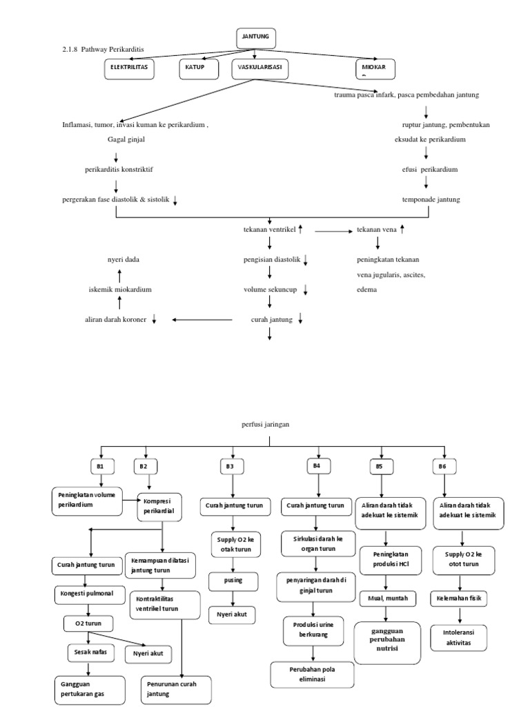 Pathway Perikarditis Kel 4 | PDF