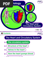 Combining Form Meaning Example Meaning of Term Angi/o Vas/o Aort/o ...