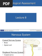 Deep Tendon Reflex Steps On How To Assess The DTR: Normal Response: DTR ...
