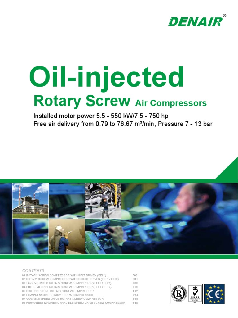 DENAIR Screw Air Compressor PDF | PDF | Gas Compressor | Electrical ...