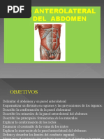 Anatomia de La Region Inguinal | PDF | Abdomen | Sistema musculoesquelético