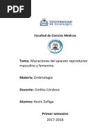 Clasificación de Fimosis Kayaba | PDF | Mamíferos machos | Pene