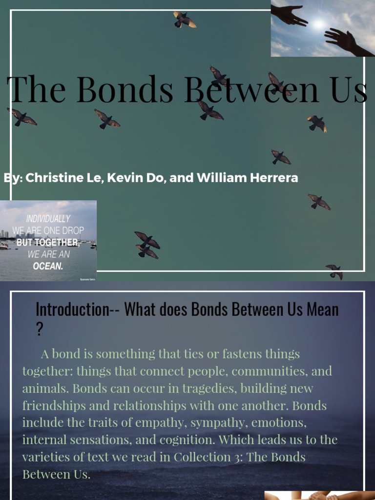 Understanding Human Bonds | PDF | Bullying | Sympathy