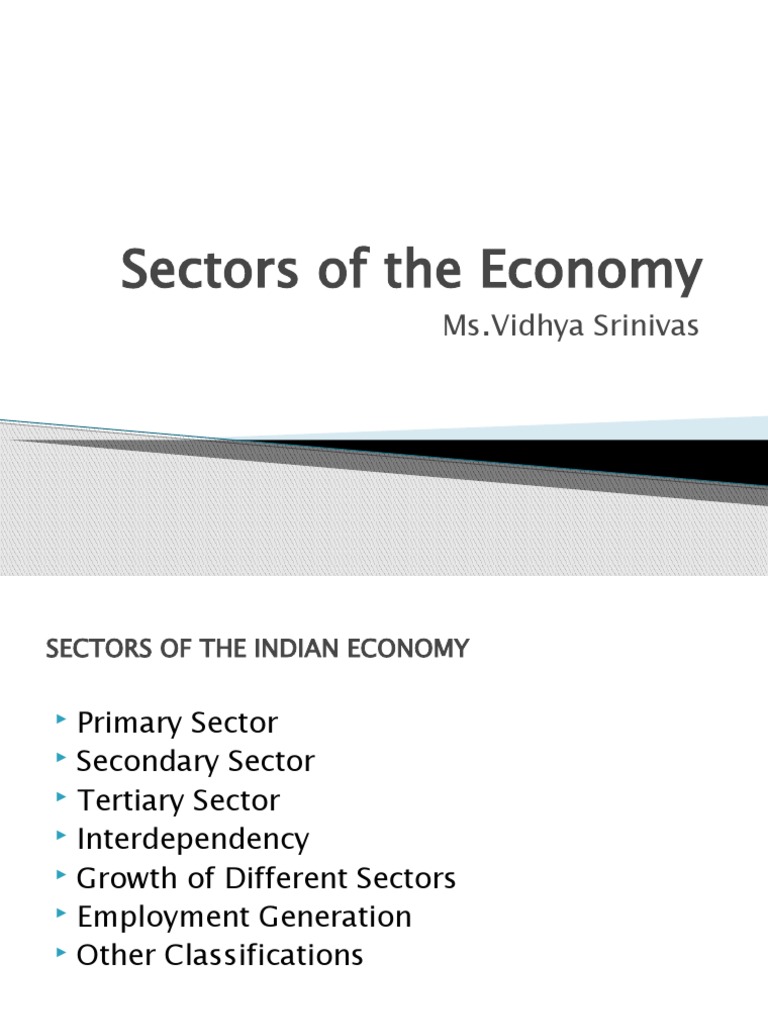 Sectors of The Economy | PDF